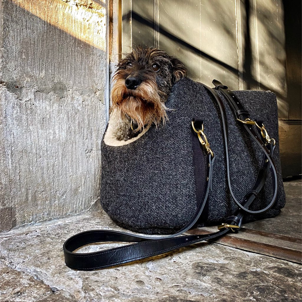 LUXURY DESIGNER PET CARRIERS LISH LUXURY DESIGNER PET CARRIERS LISH