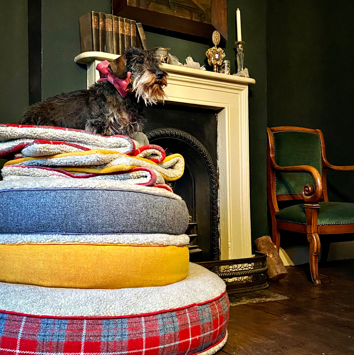 LUXURY HARRIS TWEED DOG BEDS | LISH