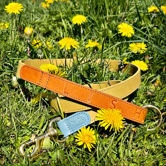 LISH - Canine Couture