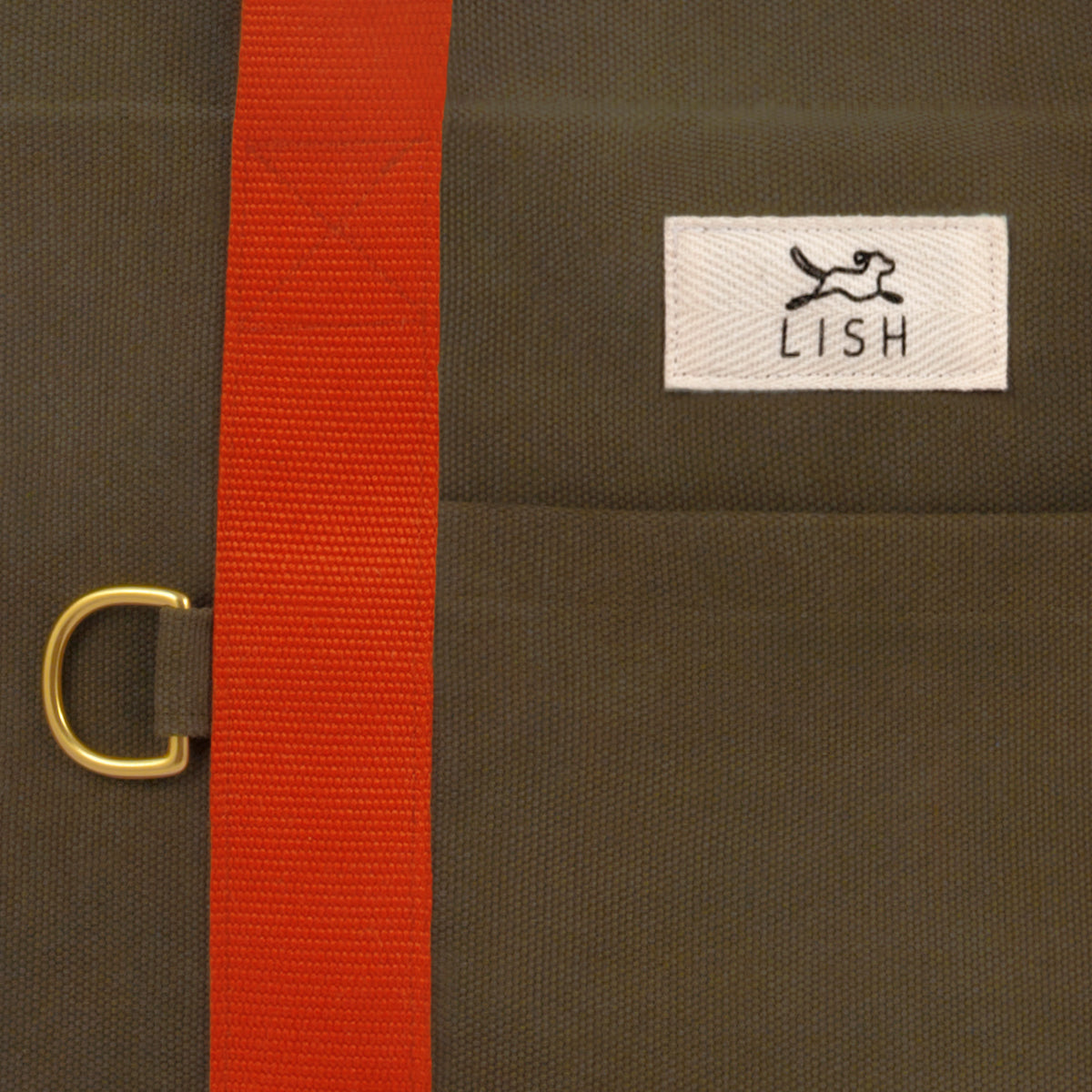 Watney Olive Green Designer Tote Dog Carrier | LISH