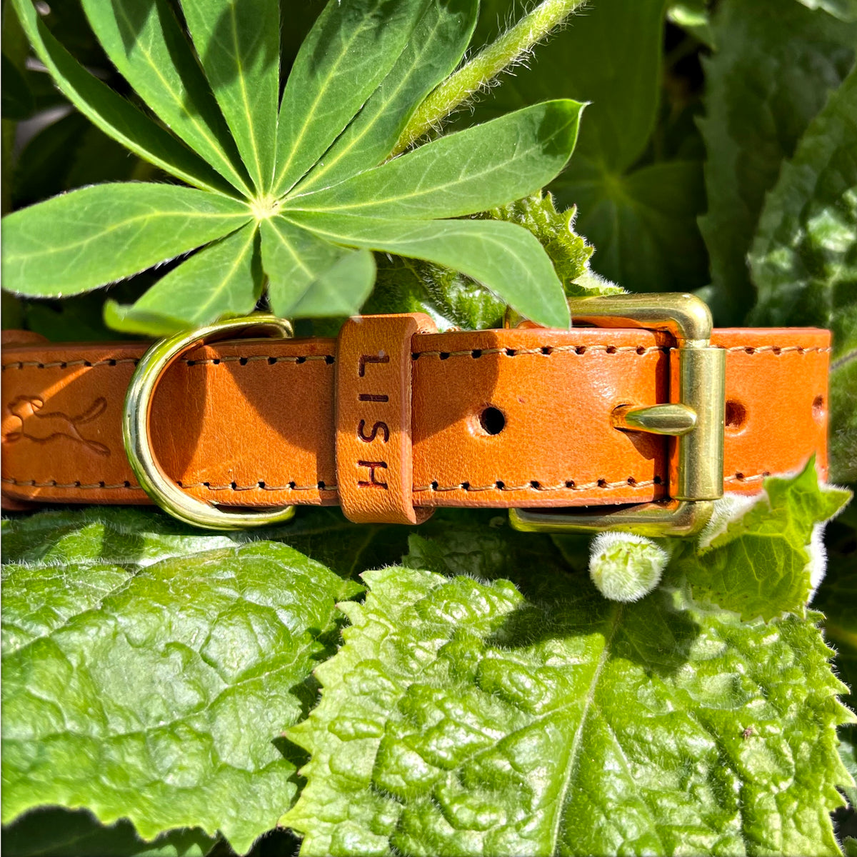 Coopers Butter Brown Luxury Leather Designer Dog Collar | LISH