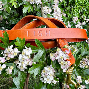 LISH - Canine Couture