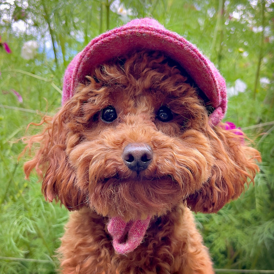 LISH - Canine Couture