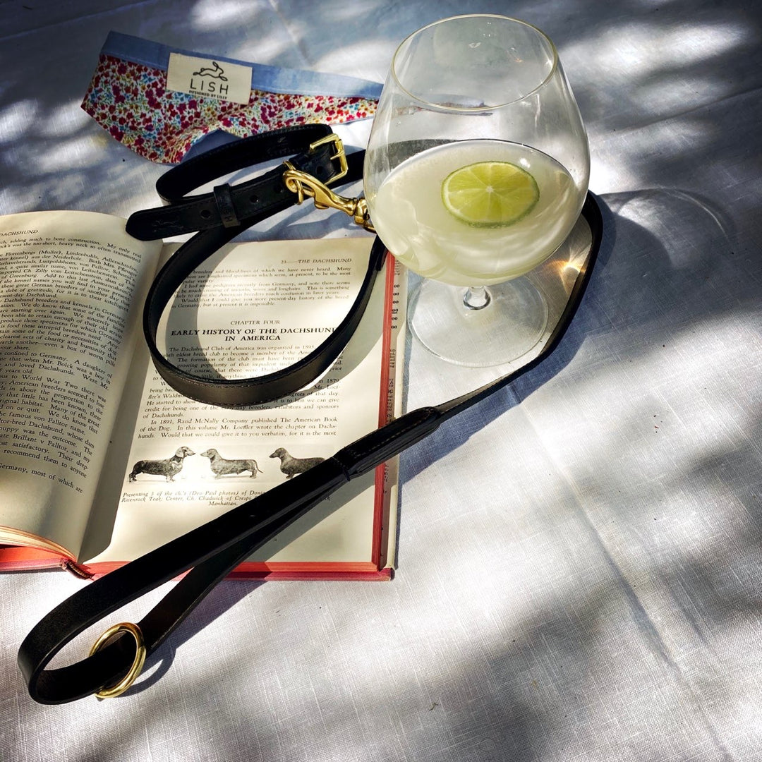 LISH - Canine Couture