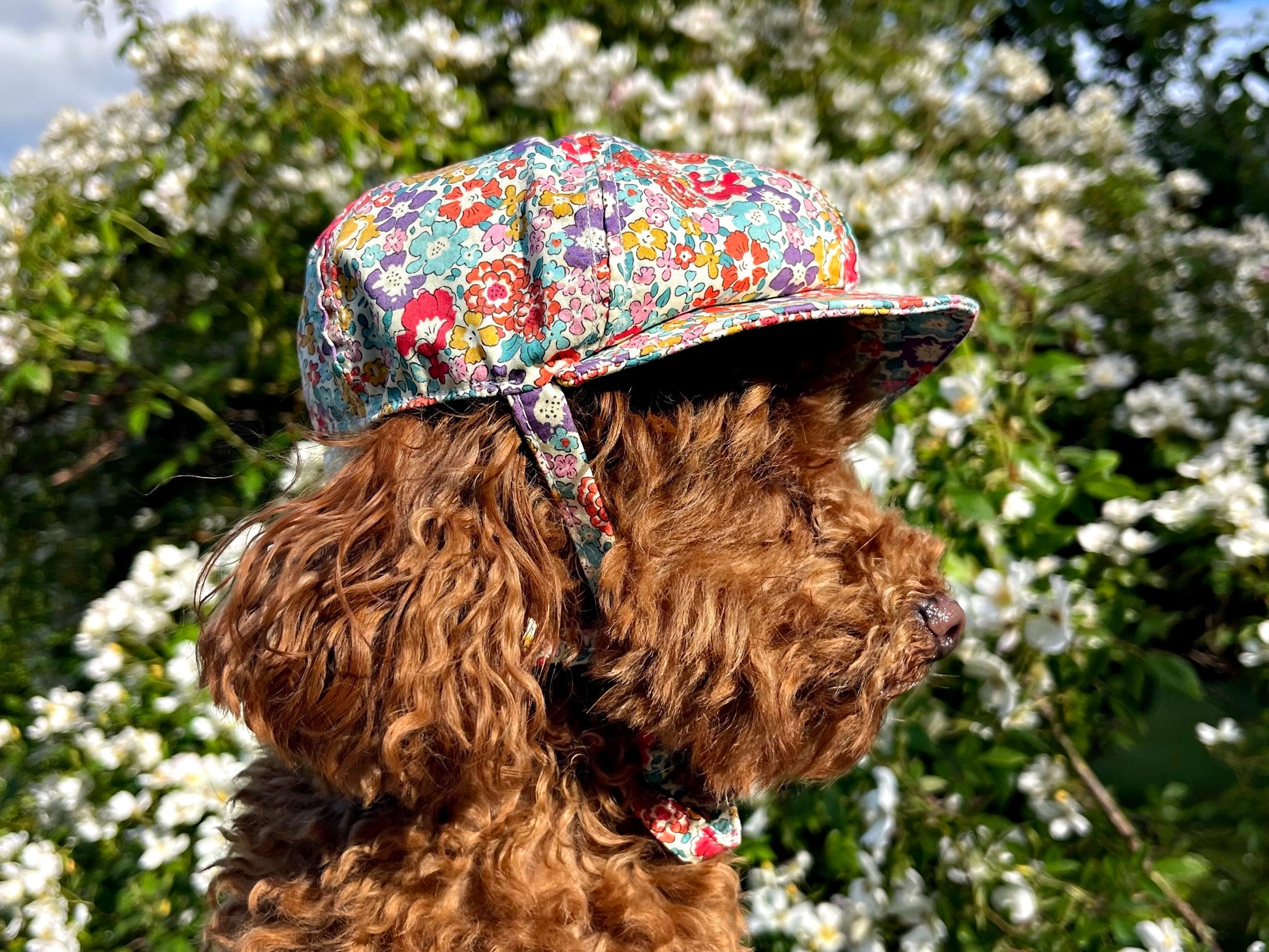 LISH - Canine Couture