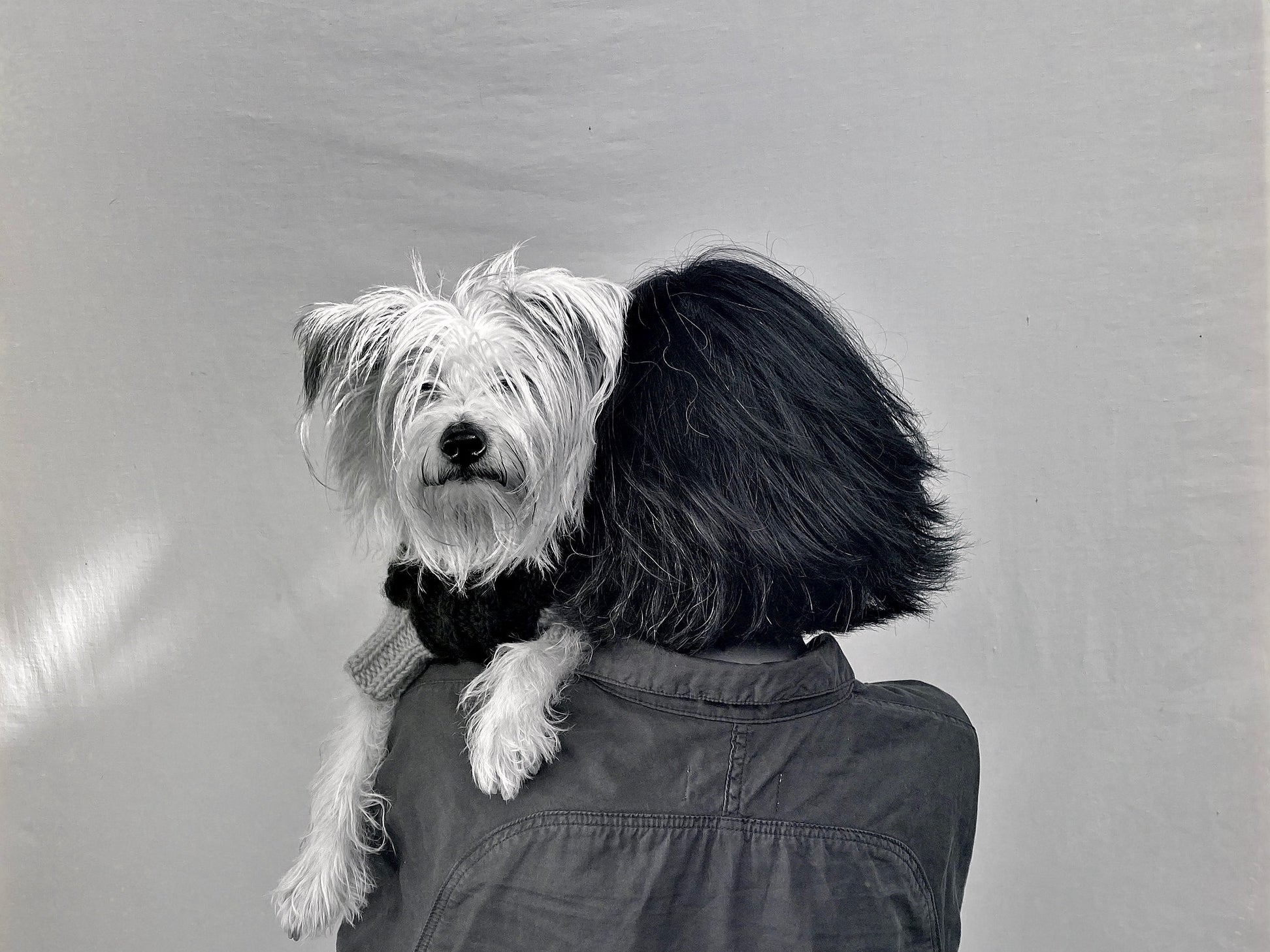 LISH - Canine Couture