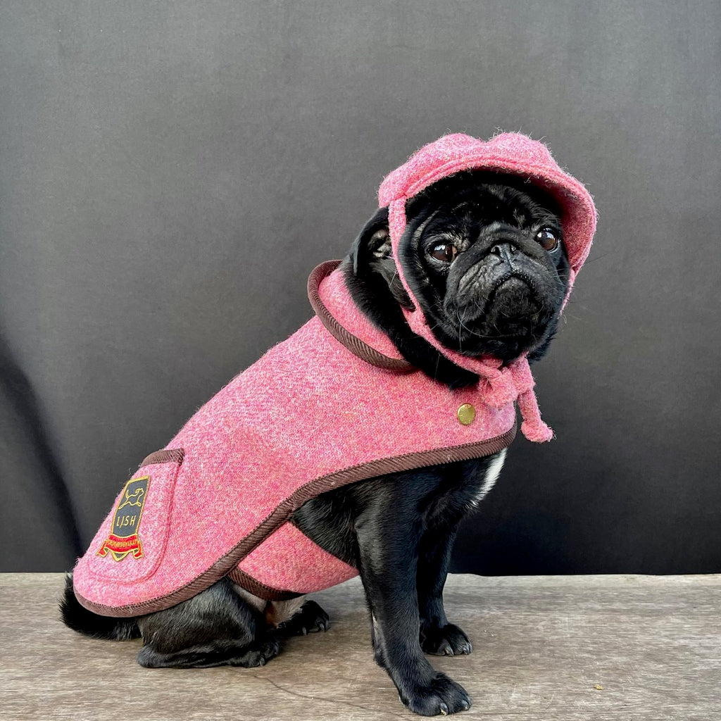 Designer Dog Coats & Luxury Winter Jackets | LISH London