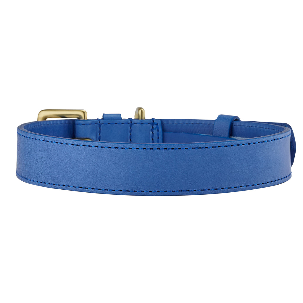 Coopers Cobalt Blue Luxury Leather Designer Dog Collar | LISH