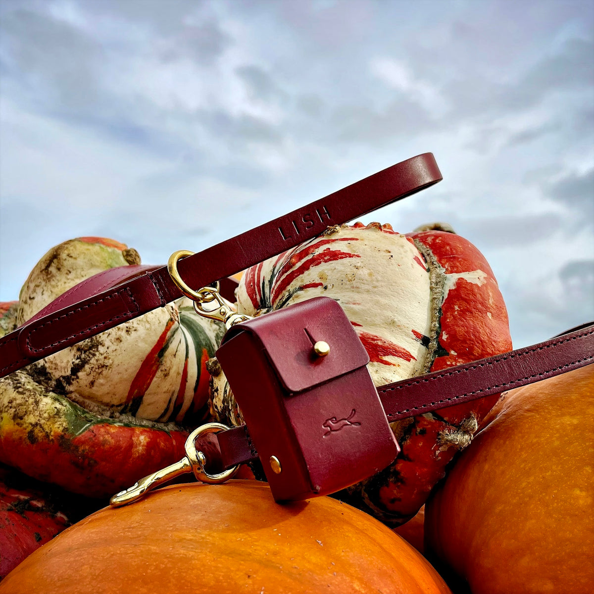 Coopers Maple Red Leather Luxury Designer Poop Bag Dispenser | LISH