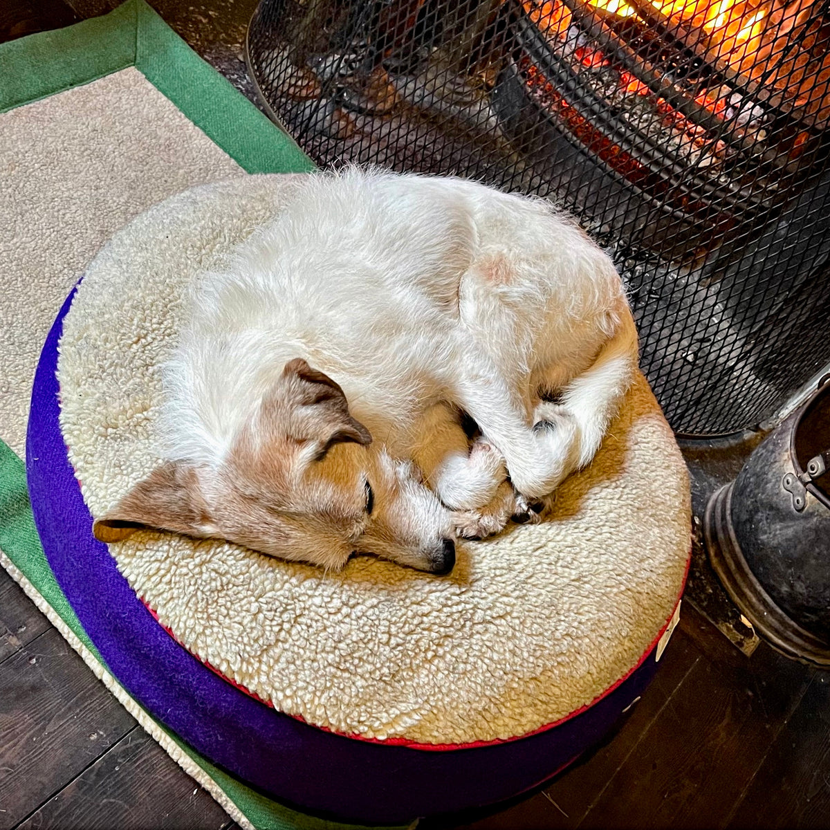 Ada Purple Luxury Harris Tweed Sustainable Dog Bed | LISH