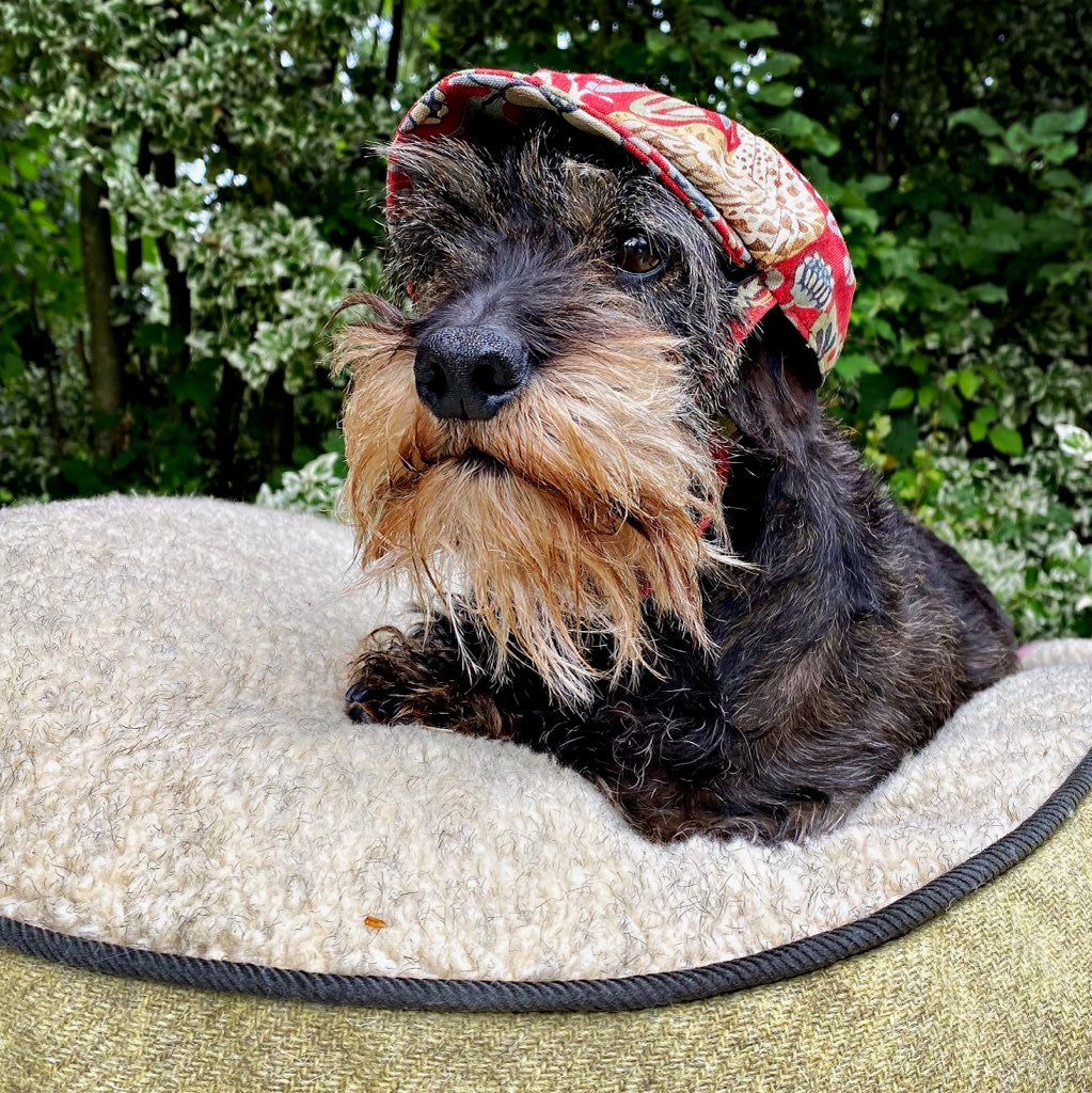 Fern Green sustainable Harris Tweed Luxury Dog Bed| Designer Tweed Dog ...