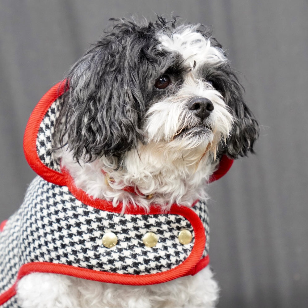 Sidney Monochrome Harris Tweed Luxury Dog Coat | LISH